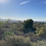 Fullerton Panorama Trail, California - 1,987 Reviews, Map | AllTrails