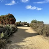 Fullerton Panorama Trail, California - 1,987 Reviews, Map | AllTrails