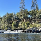 Dave Moore Nature Trail, California - 391 Reviews, Map | AllTrails