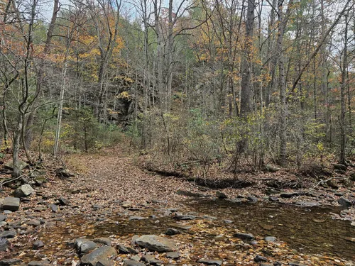 2023 Best Moderate Trails in Mount Solon | AllTrails