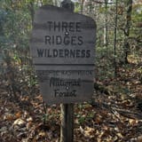 Three Ridges Trail, Virginia - 920 Reviews, Map | AllTrails