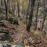 Three Ridges Trail, Virginia - 920 Reviews, Map | AllTrails