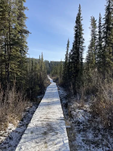 Best Beach Trails in Whitehorse | AllTrails