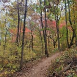 Stringers Ridge via Blue Trail, Tennessee - 1,787 Reviews, Map | AllTrails