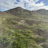 Autumn Ridge Trail, California - 397 Reviews, Map | AllTrails