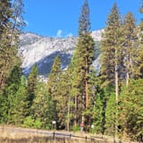 Sentinel Meadow Cook's Meadow Loop Trail, California - 2,850 Reviews ...