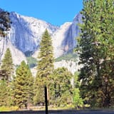 Sentinel Meadow Cook's Meadow Loop Trail, California - 2,850 Reviews ...