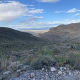 Dog Canyon Trail, New Mexico - 414 Reviews, Map | AllTrails