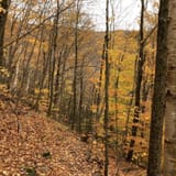 Mount Hunger via Waterbury Trail, Vermont - 1,362 Reviews, Map | AllTrails