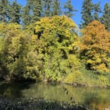 Tualatin River Greenway Walk, Oregon - 180 Reviews, Map | AllTrails