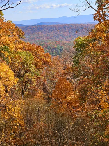 Best Hikes and Trails in Shrine Mont | AllTrails