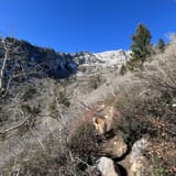 Silver Lake Trail, Utah - 3,372 Reviews, Map | AllTrails