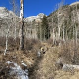 Silver Lake Trail, Utah - 3,372 Reviews, Map | AllTrails