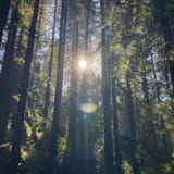 Washington Park Loop, Oregon - 1,458 Reviews, Map | AllTrails