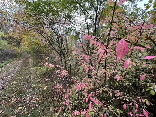 Best Hikes and Trails in MacCready Nature Reserve | AllTrails