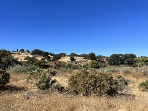 Best Hikes and Trails in Paso Robles | AllTrails