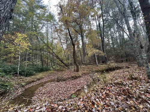 10 Best Hikes and Trails in Lake James State Park | AllTrails
