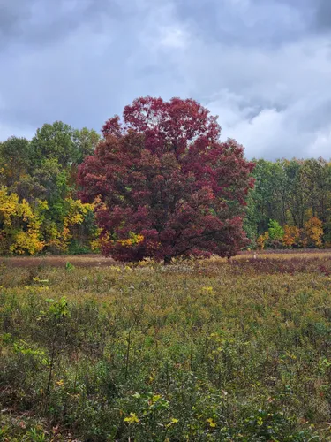 10 Best Paved Trails in Ohio | AllTrails