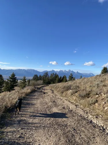 Best Camping Trails in Bridger-Teton National Forest - Jackson Ranger ...