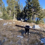 Goodwin Lake Trail, Wyoming - 363 Reviews, Map | AllTrails