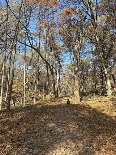 Best Hikes and Trails in Margo Frankel Woods State Park | AllTrails