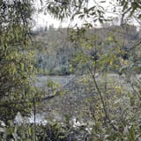 Lake Fenwick, Washington - 666 Reviews, Map | AllTrails