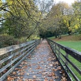 Lake Fenwick, Washington - 666 Reviews, Map | AllTrails