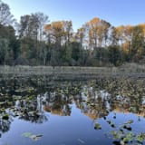 Lake Fenwick, Washington - 666 Reviews, Map | AllTrails