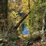 Lake Fenwick, Washington - 666 Reviews, Map | AllTrails