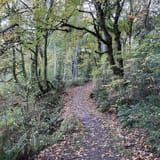 Lake Fenwick, Washington - 666 Reviews, Map | AllTrails