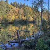 Lake Fenwick, Washington - 666 Reviews, Map | AllTrails