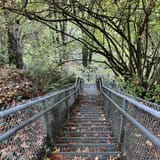 Lake Fenwick, Washington - 666 Reviews, Map | AllTrails