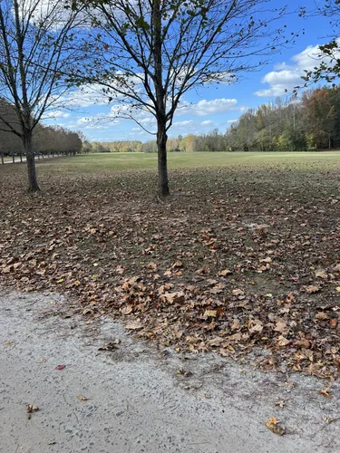 Best Hikes and Trails in McIntosh Reserve Park | AllTrails