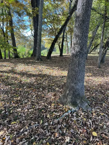 Best Hikes and Trails in McIntosh Reserve Park | AllTrails