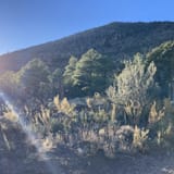 Fatmans Loop Trail, Arizona - 4,951 Reviews, Map | AllTrails