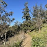 Murphy Ranch Trail , California - 1,319 Reviews, Map | AllTrails