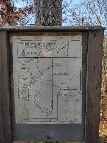 Best River Trails in Baldwin | AllTrails