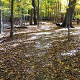 Brunswick Lake Scenic Trail and Nature Trail, Ohio - 249 Reviews, Map ...