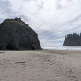 Second Beach, Washington - 1,572 Reviews, Map | AllTrails