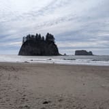 Second Beach, Washington - 1,572 Reviews, Map | AllTrails