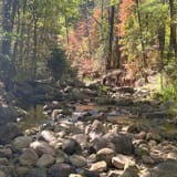 See Spring Trail, Arizona - 677 Reviews, Map | AllTrails