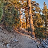 Bonanza Peak via Spring Mountain Divide Trail, Nevada - 312 Reviews ...