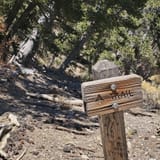Bonanza Peak via Spring Mountain Divide Trail, Nevada - 312 Reviews ...