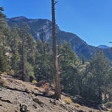 Bonanza Peak via Spring Mountain Divide Trail, Nevada - 312 Reviews ...