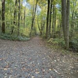 Little River Trail, Tennessee - 407 Reviews, Map | AllTrails