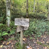 Little River Trail, Tennessee - 407 Reviews, Map | AllTrails