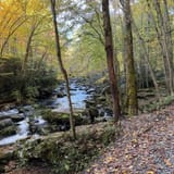 Little River Trail, Tennessee - 514 Reviews, Map | AllTrails