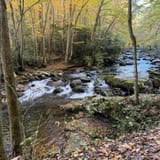 Little River Trail, Tennessee - 514 Reviews, Map | AllTrails