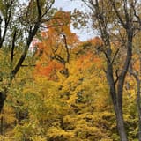 Mount Royal Park Loop, Quebec, Canada - 1,605 Reviews, Map | AllTrails