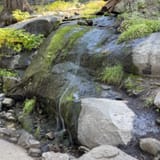 Circle Meadow Loop via Congress and General Sherman Tree Trail ...